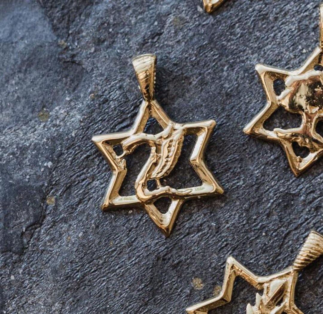 14K Solid Gold, IDF Paratroopers Brigade Symbol, Star of David Necklace ...