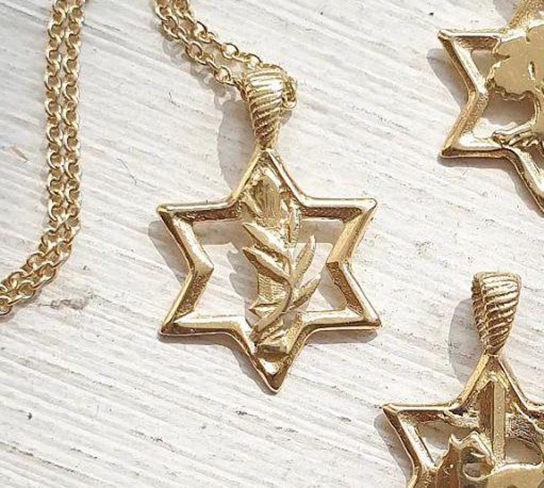 14K Solid Gold, IDF (israeli Defense Force) Symbol, Star of David ...