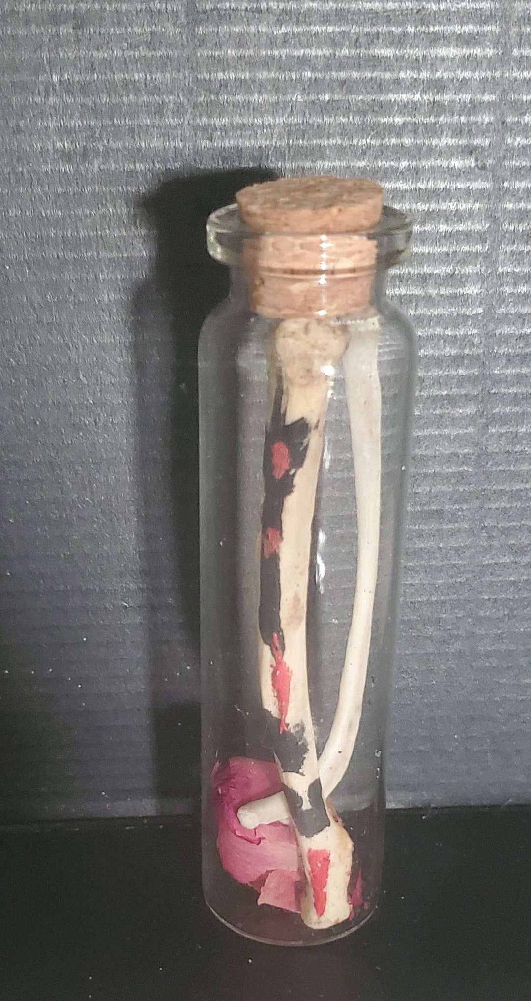 Opossum Rib Bones With Rose Bud in Glass Jar - Etsy