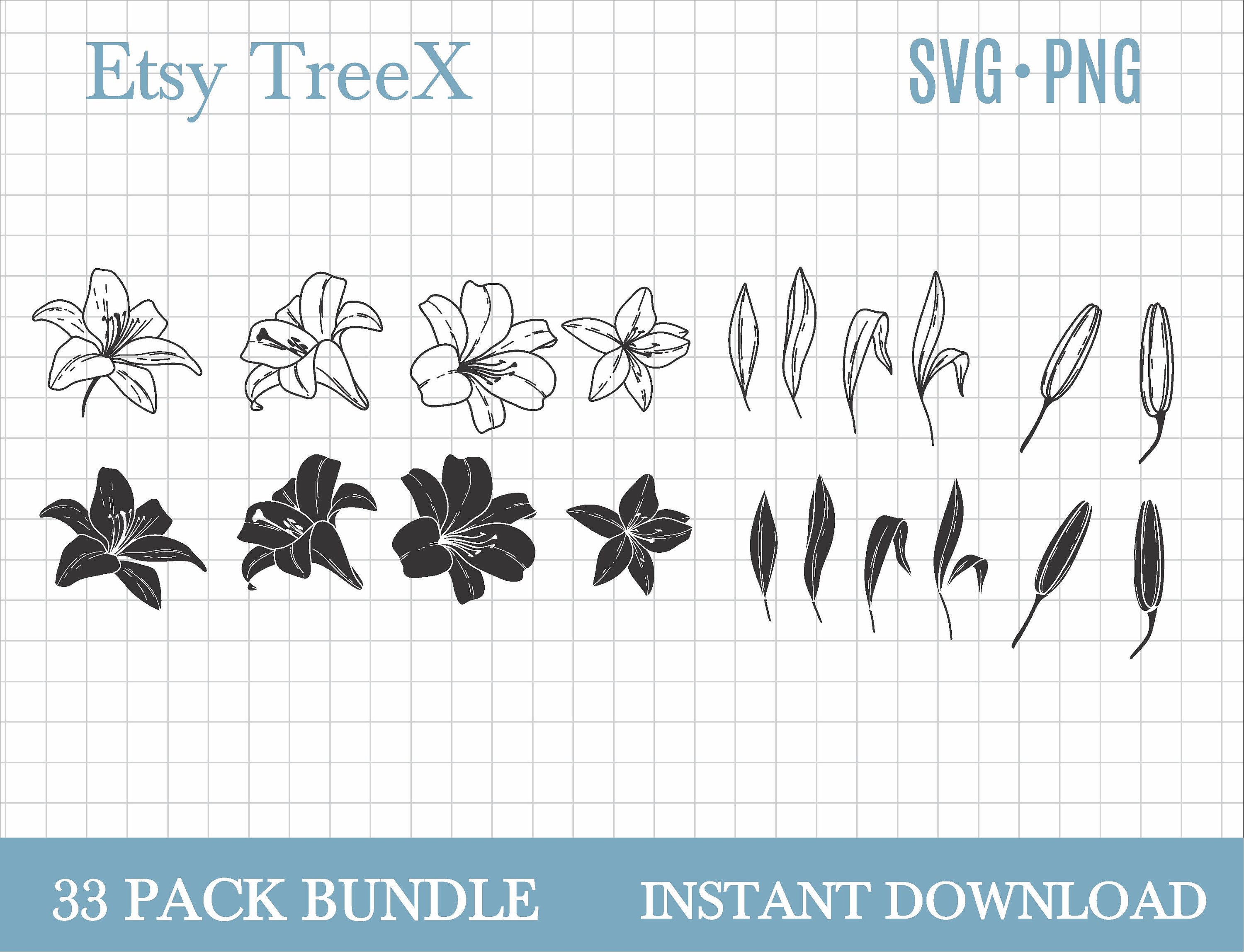 Lilies SVG Bundle by Oxee Hand Drawn Lily Monogram Lily - Etsy Australia