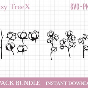Cotton Flower SVG Bundle, Cotton Bulbs Cut File, Hand Drawn Cotton Svg ...