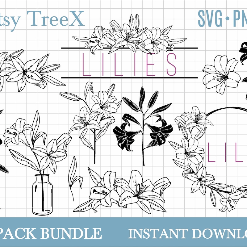 Lily Art Svg - Etsy UK