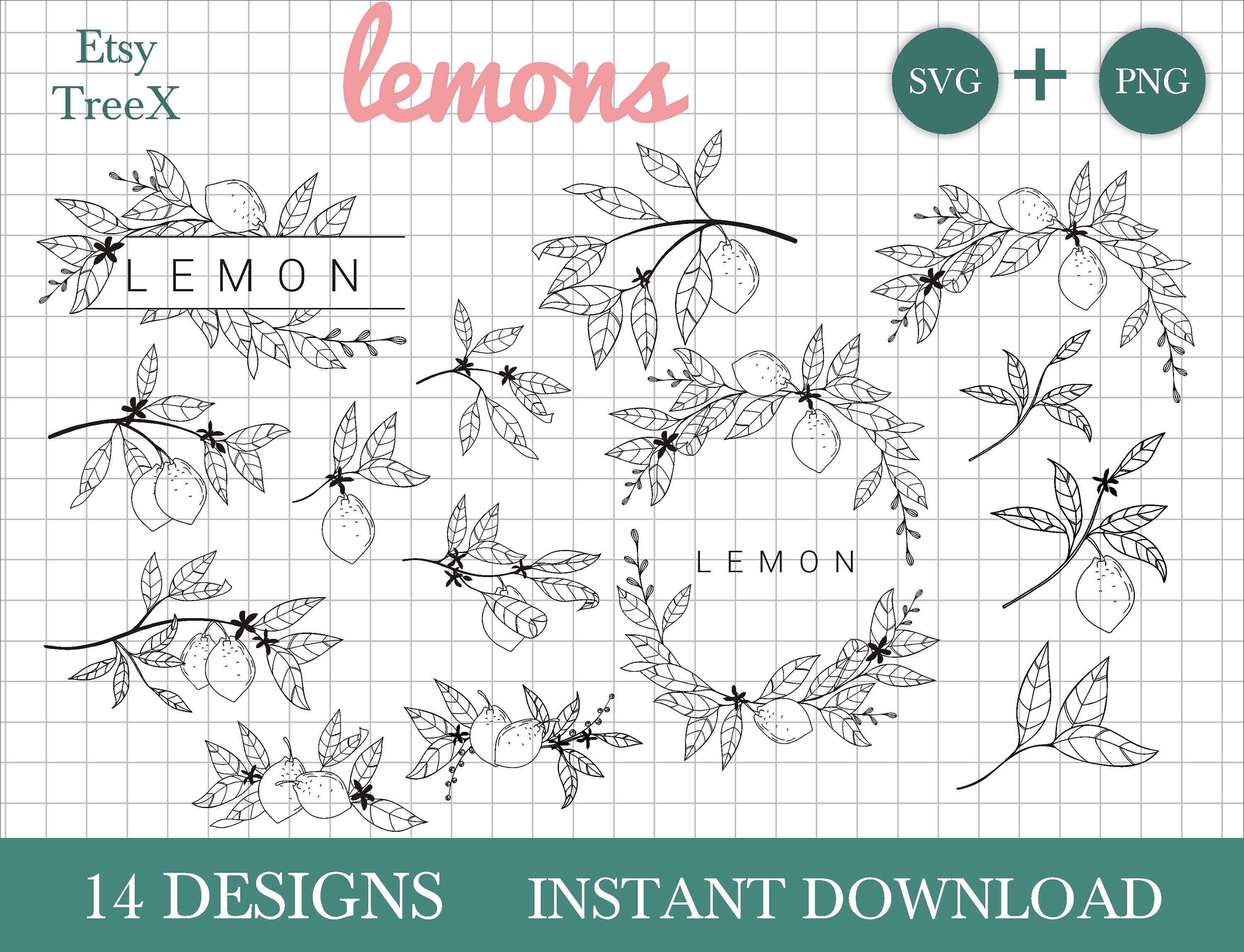 Lemons SVG bundle lemon tree digital file hand drawn lemons | Etsy