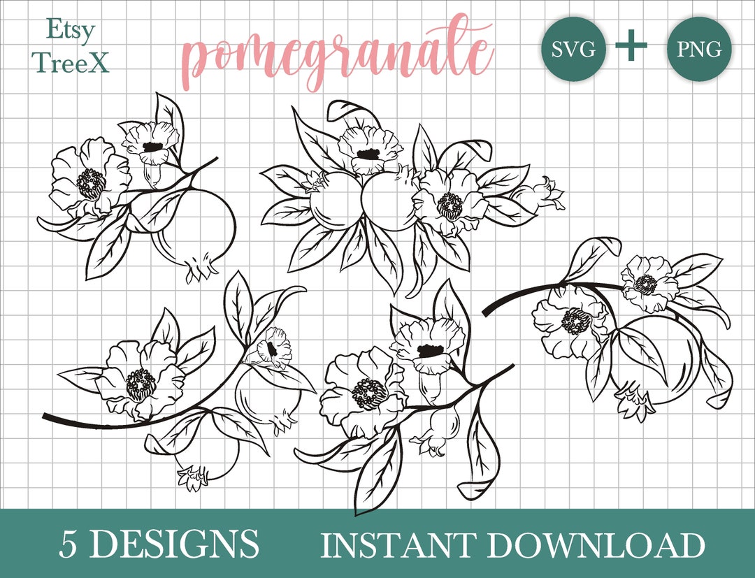 Pomegranate SVG Bundle, Digital File, Hand Drawn Pomegranate Flowers ...