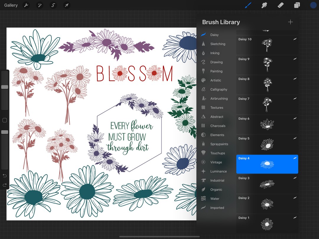 Daisy Procreate Stamps by Oxee, iPad Procreate Stamps, Daisy Bouquets ...