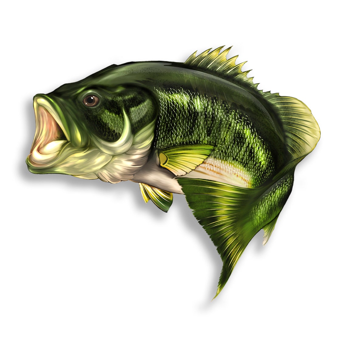 6 Largemouth Bass Fish Sticker Large Mouth Fishing - Etsy