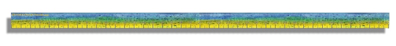 Mahi Pattern Sticky 40 Inch Ruler Self Adhesive Sticker for - Etsy