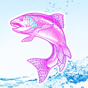 Pink Rainbow Trout Sticker Speckled Fly Fishing Present for Atlantic ...