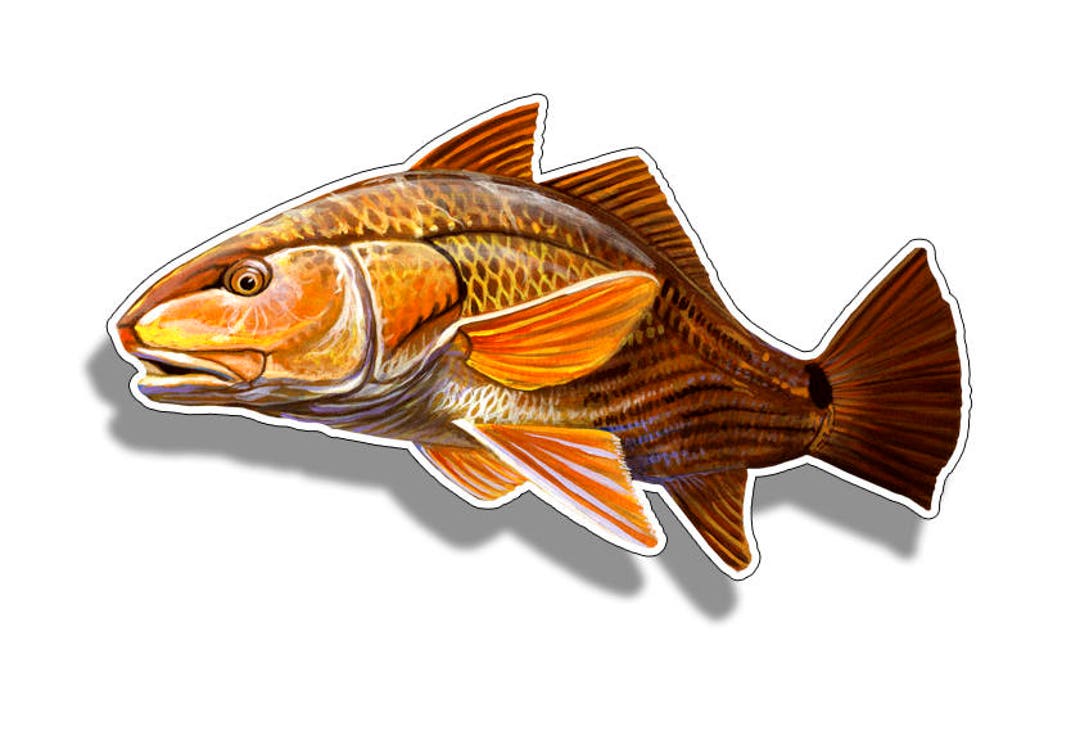 Redfish Sticker Printed Digital Vinyl Decal Fish Fishing Red Drum Car ...