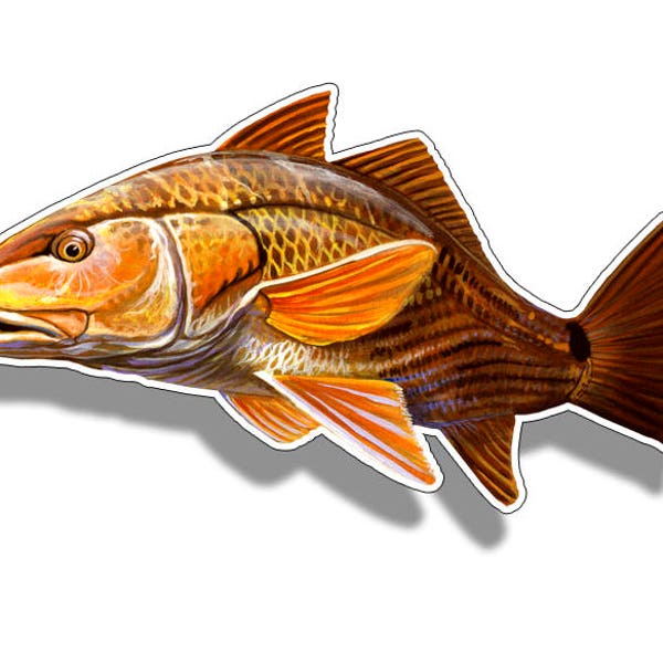 Vinyl Redfish Decal Truck Window - Etsy