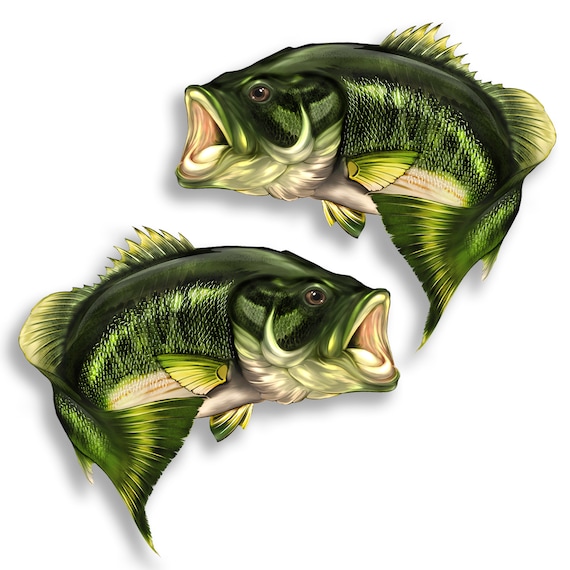 Largemouth Bass Fish Sticker 12 Inch Pair of Large Mouth | Etsy