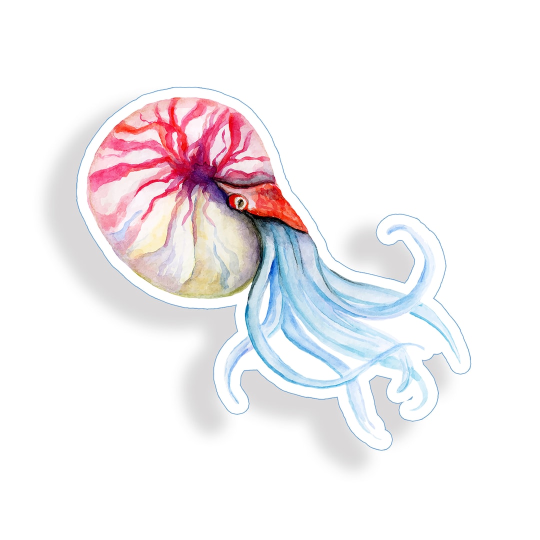 Watercolor Squid Sticker Beach Ocean Sea Creature Laptop Cup Cooler Car ...