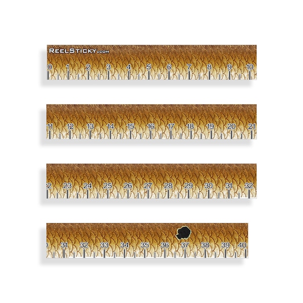 Fish Ruler Svg - Etsy