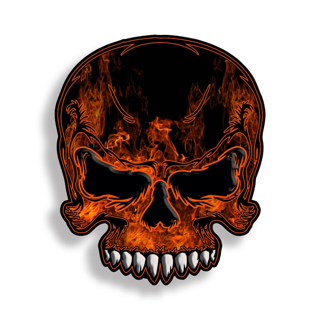 Fire Skull Sticker Real Flame Cup Cooler Laptop Car Vehicle Window ...