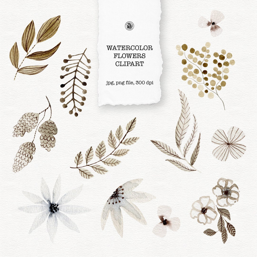 Neutral Watercolor Floral Clipart: Hand-painted Botanical Flowers ...