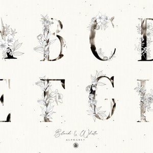 Large 80 Floral Watercolor Hand Painted Clipart and Alphabet Clipart ...