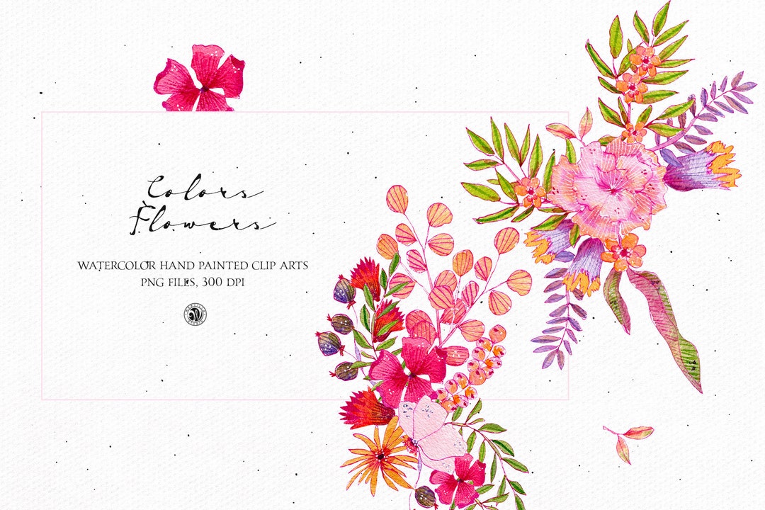 Watercolor Floral Clipart: Hand-painted Flower PNG Set (digital ...