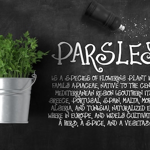 Parsley Font - Hand Drawn Clipart Font All Caps OTF - Etsy
