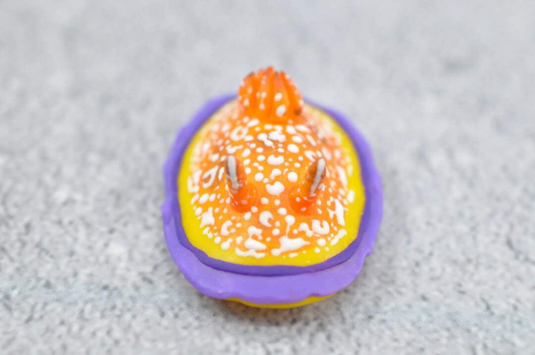 Nudibranch , Sea Slug Polymer Clay for Gifts , Diving Gift, Decorate ...