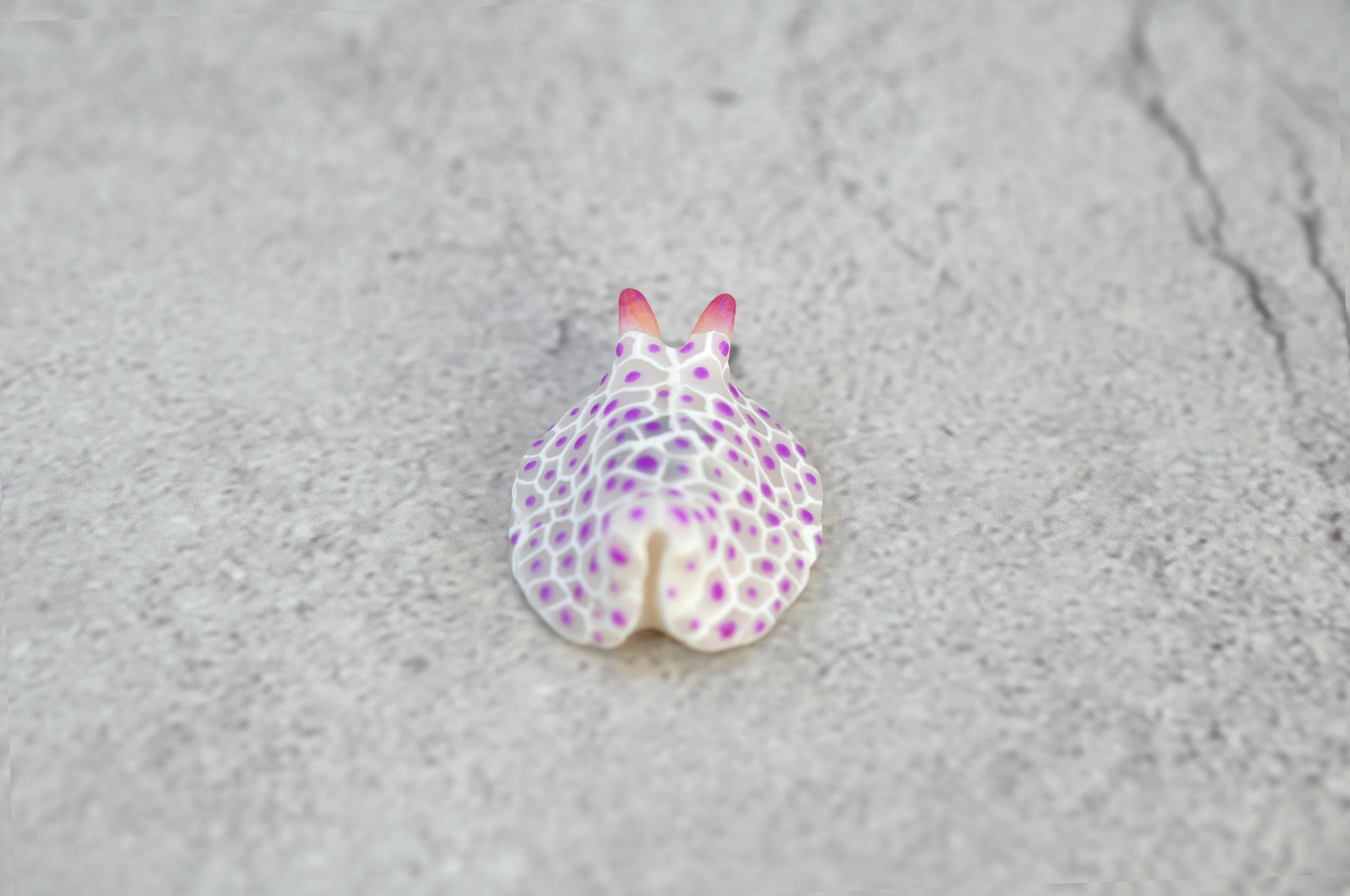 Nudibranch , Sea Slug Polymer Clay for Gifts , Diving Gift, Decorate ...