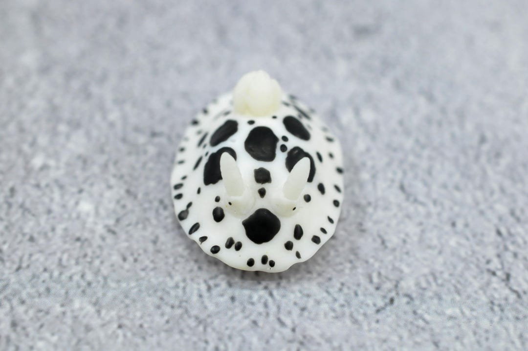 Nudibranch , Sea Slug Polymer Clay for Gifts , Diving Gift, Decorate ...