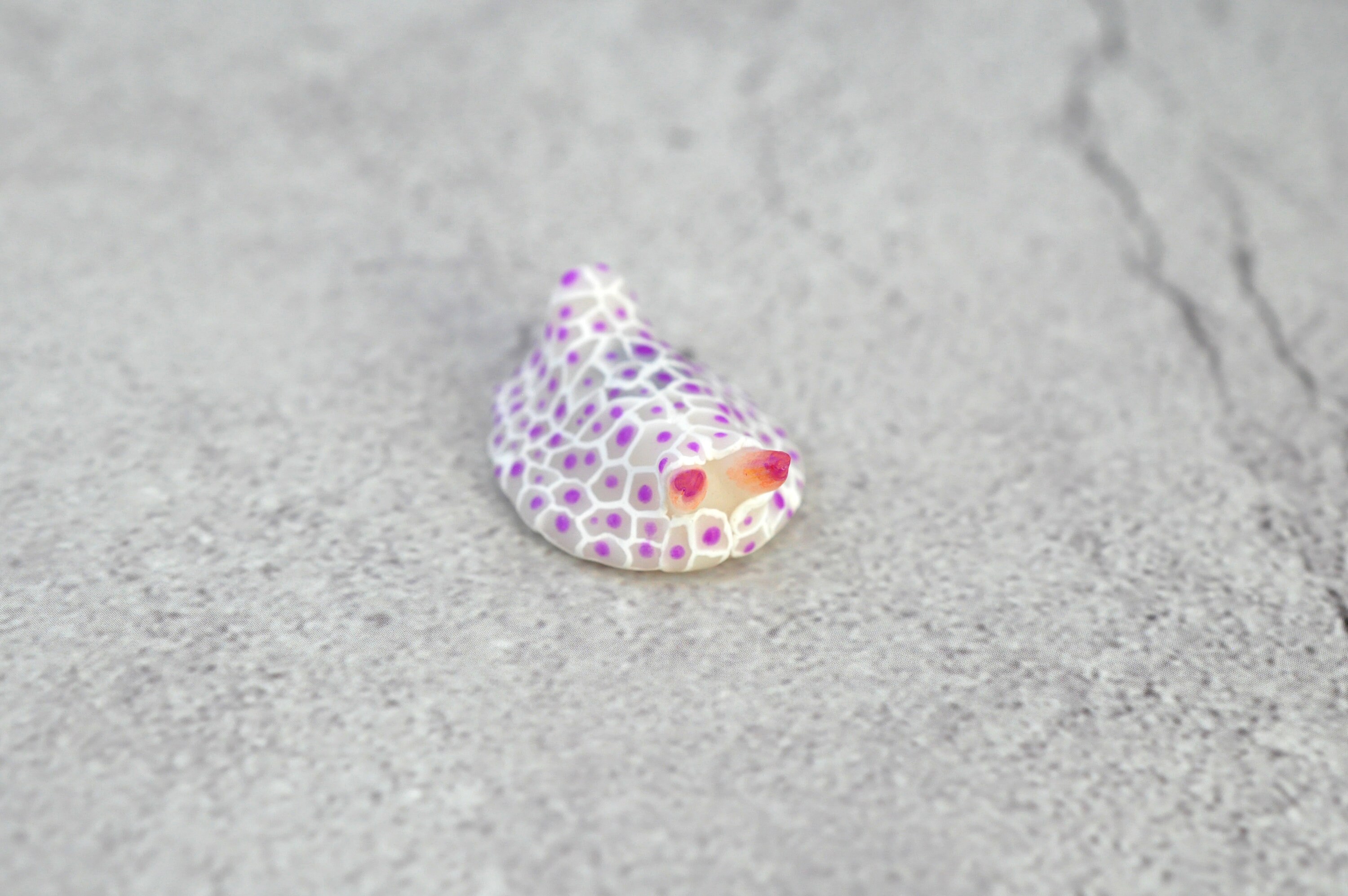 Nudibranch , Sea Slug Polymer Clay for Gifts , Diving Gift, Decorate ...