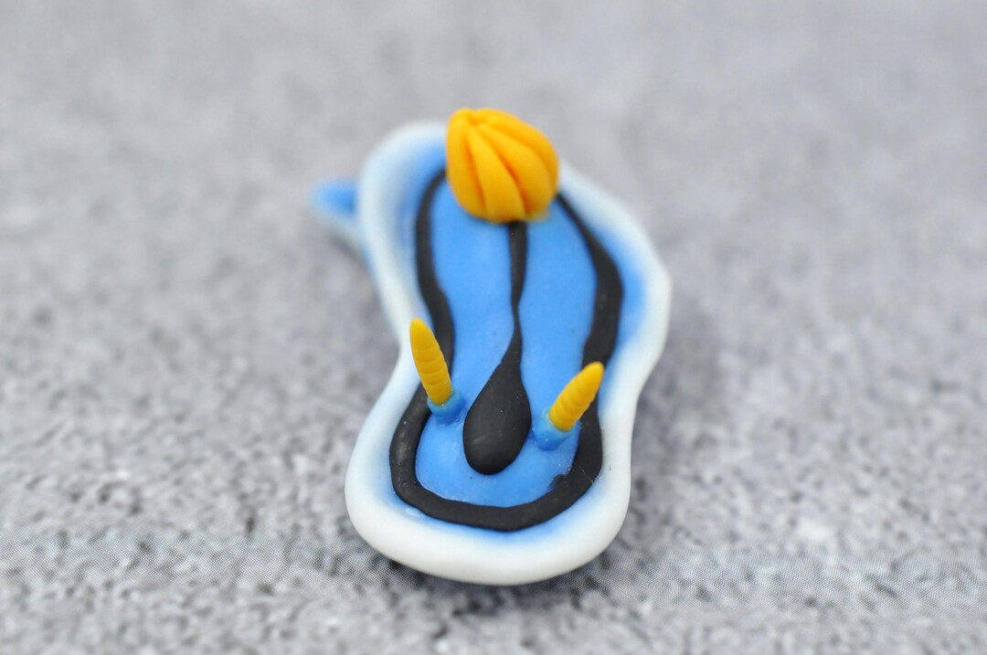 Nudibranch , Sea Slug Polymer Clay for Gifts , Diving Gift, Decorate ...