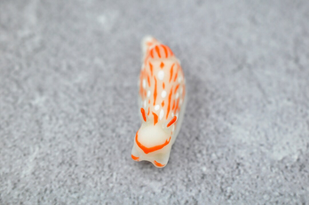 Nudibranch , Sea Slug Polymer Clay for Gift , Diving Gifts, Decorate - Etsy
