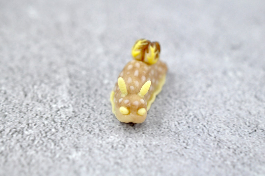 Nudibranch , Sea Slug Polymer Clay for Gift , Diving Gifts, Decorate - Etsy