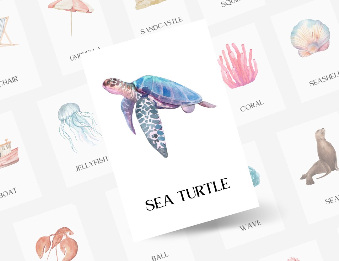 Ocean Animal Cards Waldorf Inspired, Montessori Flash Cards, Pre-school ...