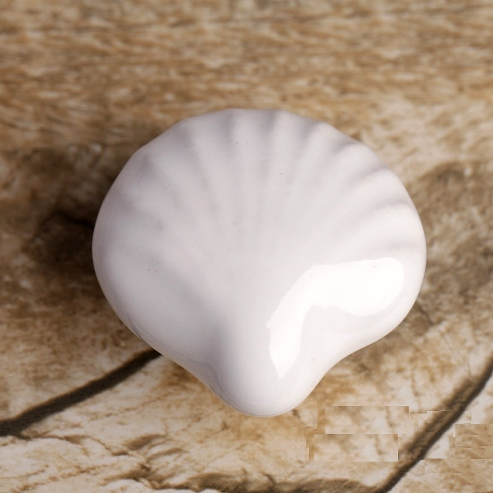 Large Drawer Knobs Shell Dresser Knobs Pulls White Ceramic - Etsy