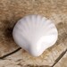 Large Drawer Knobs Shell Dresser Knobs Pulls White Ceramic Seabeach Kitchen Furniture Cabinet ...