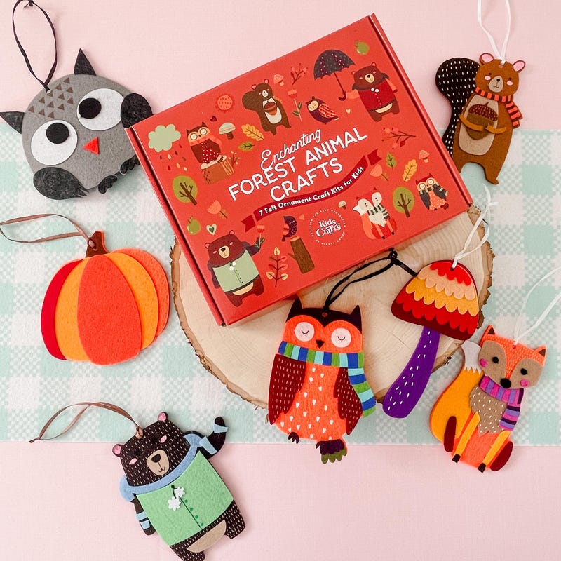 Felt Sewing Kit - Etsy