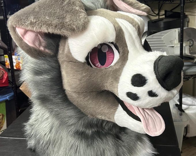 Aussie Mutt Fursuit - Etsy