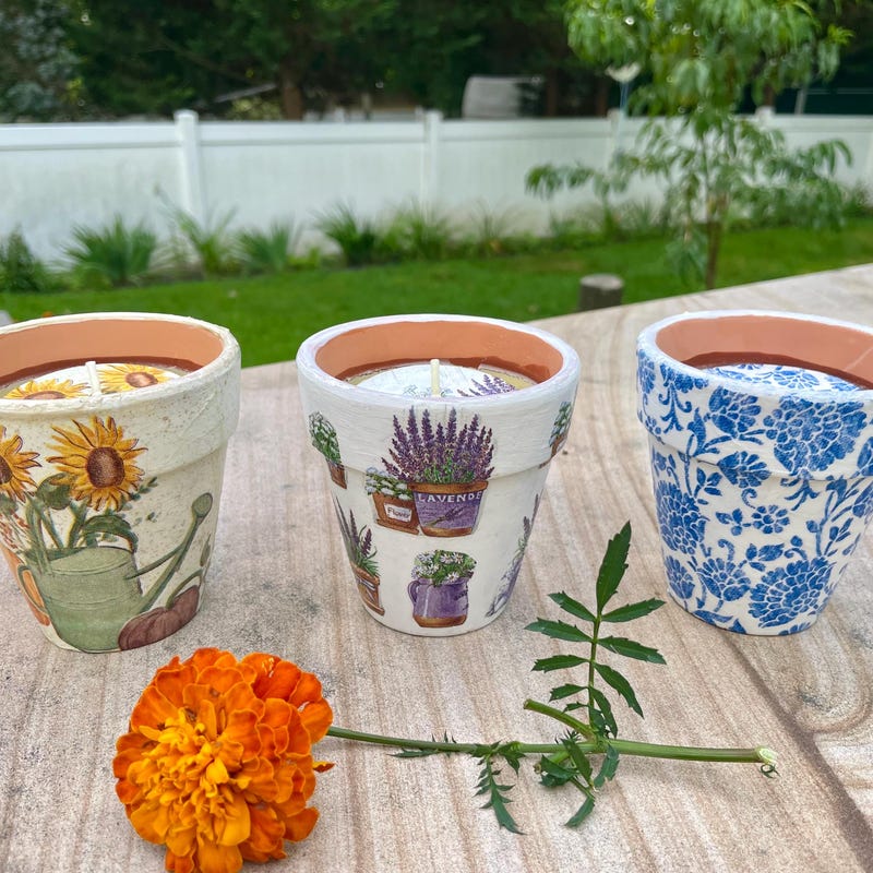 Bug Themed Candles - Etsy