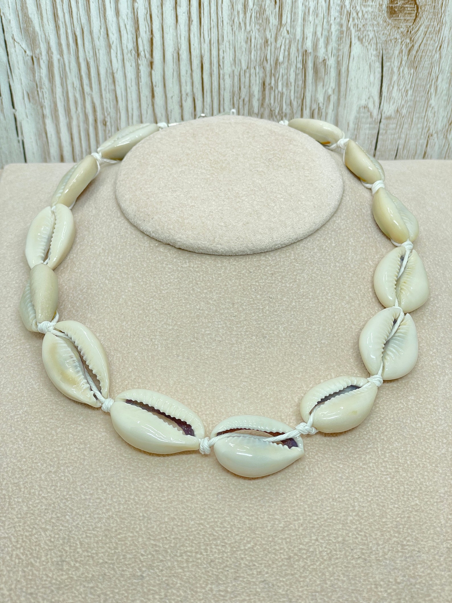 Cowrie Shell Necklace, Cowrie Shell Choker Necklace, Natural Cowrie ...