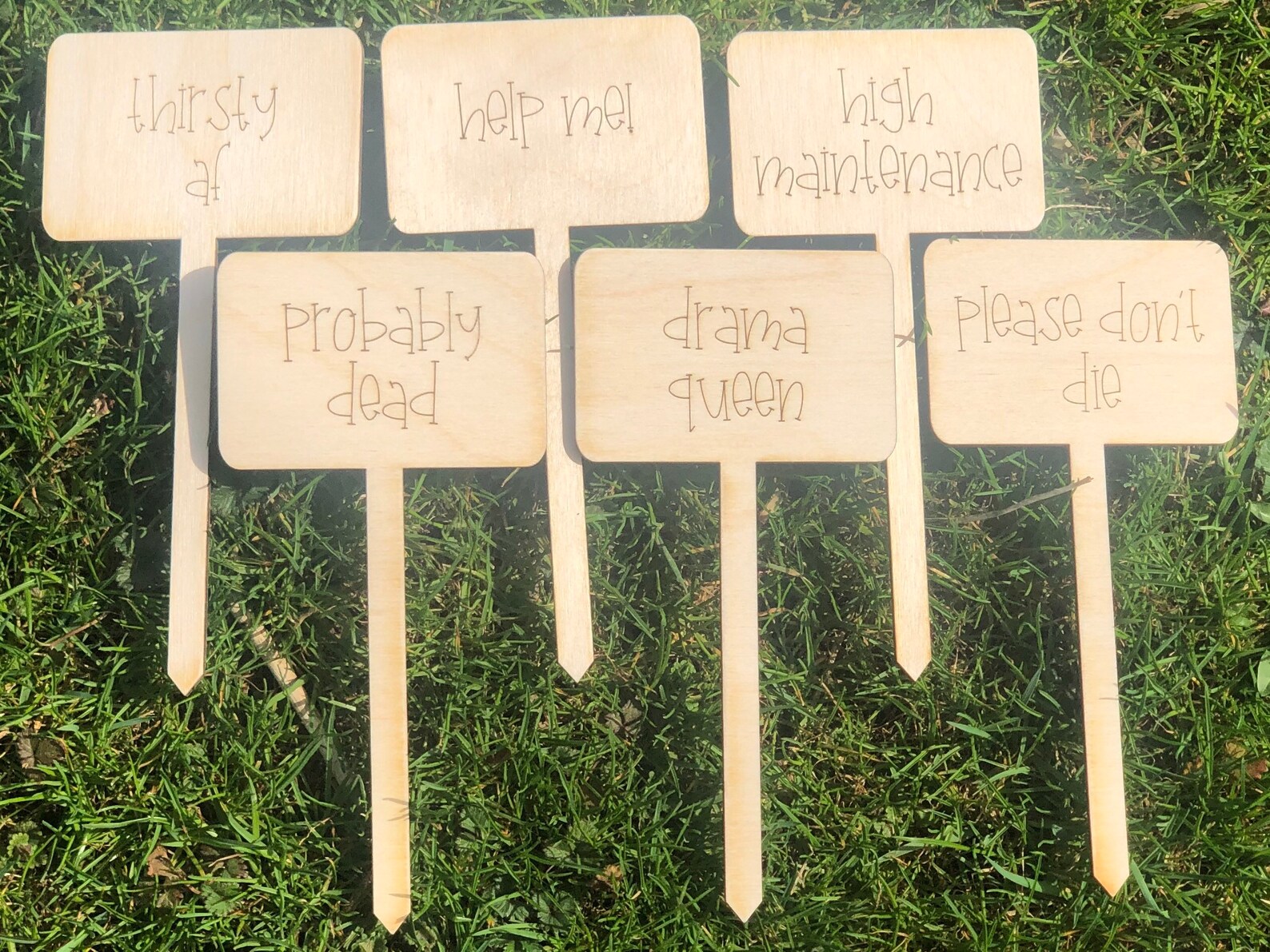 Funny Plant Markers Garden/spring/sign - Etsy