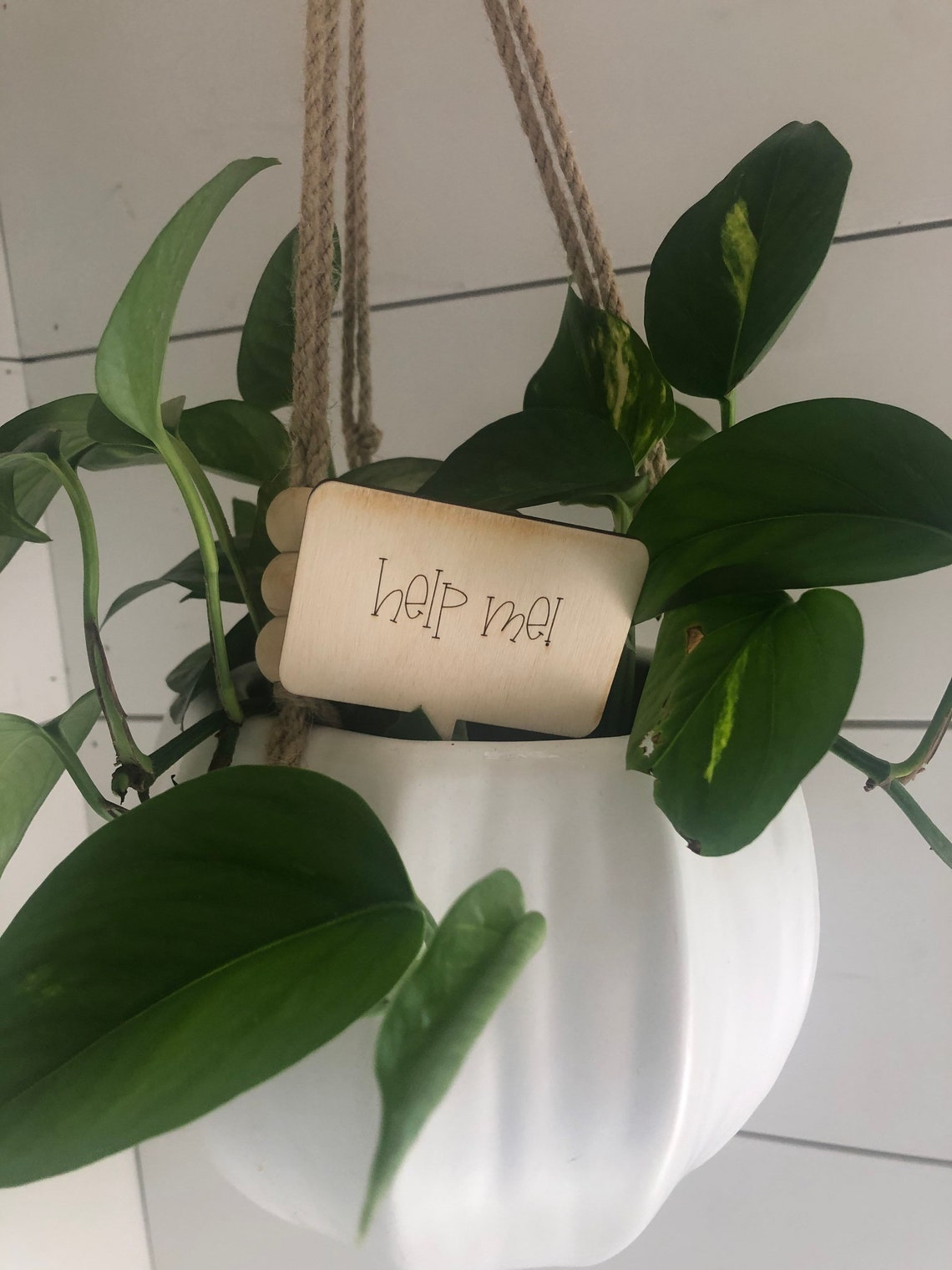 Funny Plant Markers Garden/spring/sign - Etsy