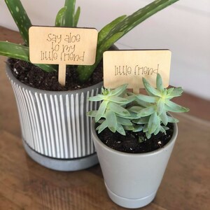 Funny Plant Markers Garden/spring/sign - Etsy