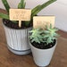 Funny Plant Markers Garden/spring/sign - Etsy