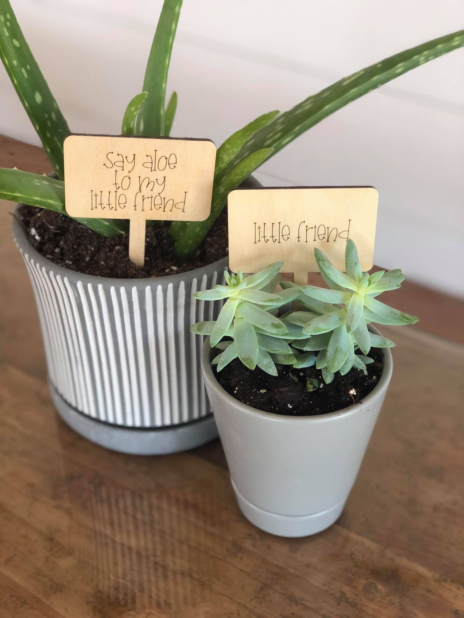 Funny Plant Markers Garden/spring/sign | Etsy