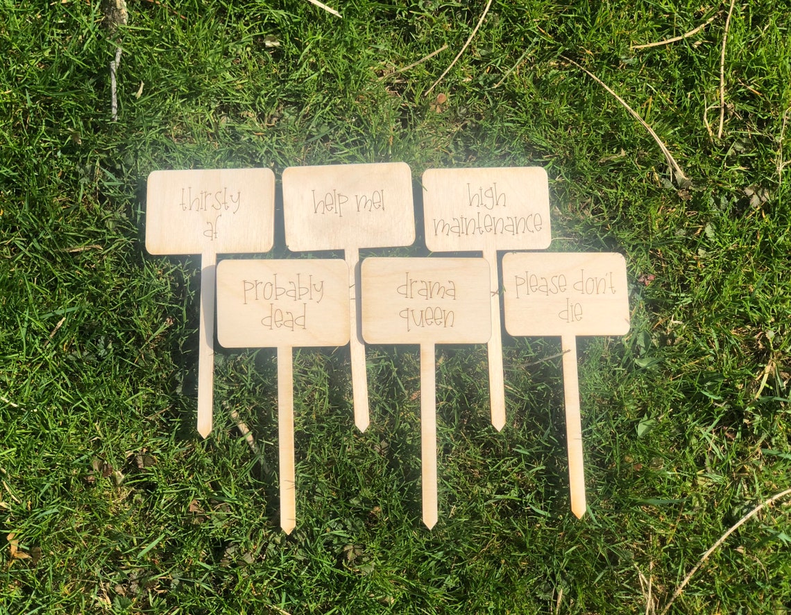 Funny Plant Markers Garden/spring/sign | Etsy