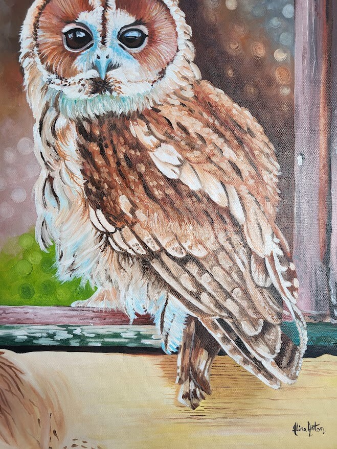Original Oil Painting on Canvas tawny Owl Painting on Canvas Oil ...