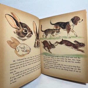 The Wonder Book of Cottontails and Other Rabbit Stories by Cynthia ...
