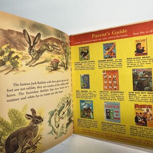 The Wonder Book of Cottontails and Other Rabbit Stories by Cynthia ...