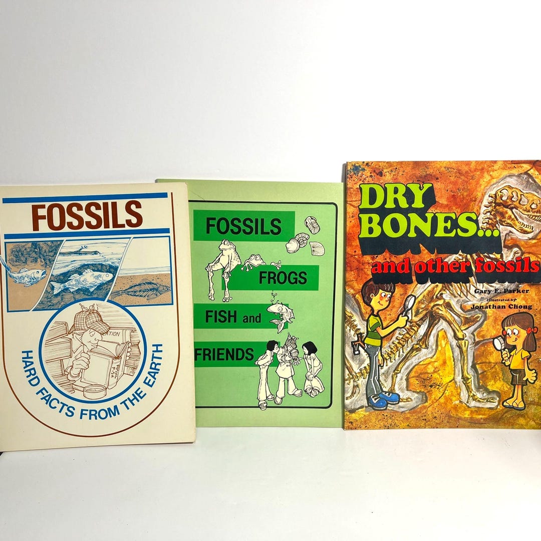 Fossils and Paleontology Books for Kids Set of 3 Christian Homeschool ...