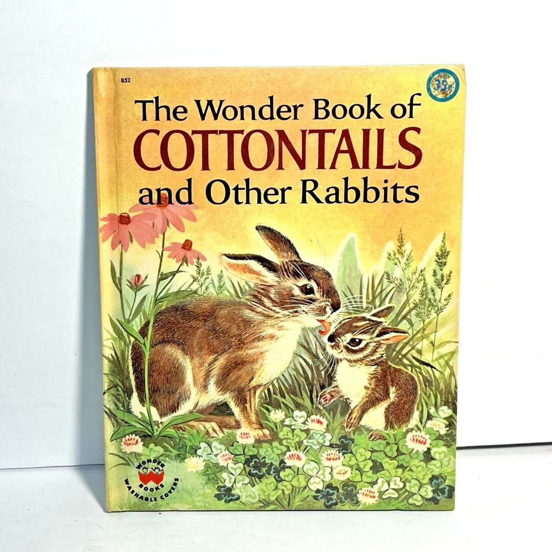 The Wonder Book of Cottontails and Other Rabbit Stories by Cynthia ...