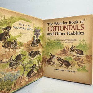 The Wonder Book of Cottontails and Other Rabbit Stories by Cynthia ...