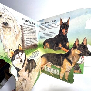 Dogs and Puppies at Your Fingertips Board Book Vintage - Etsy