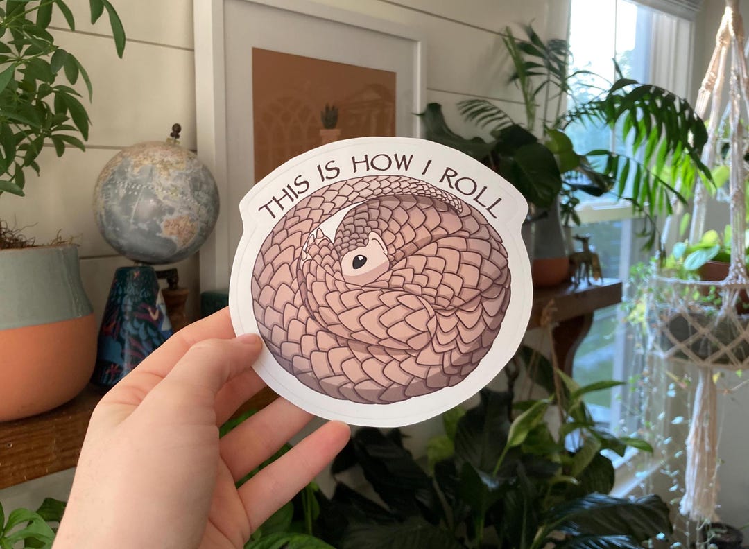 Pangolin Outdoor Large Sticker Car Bumper Truck Window Endangered ...